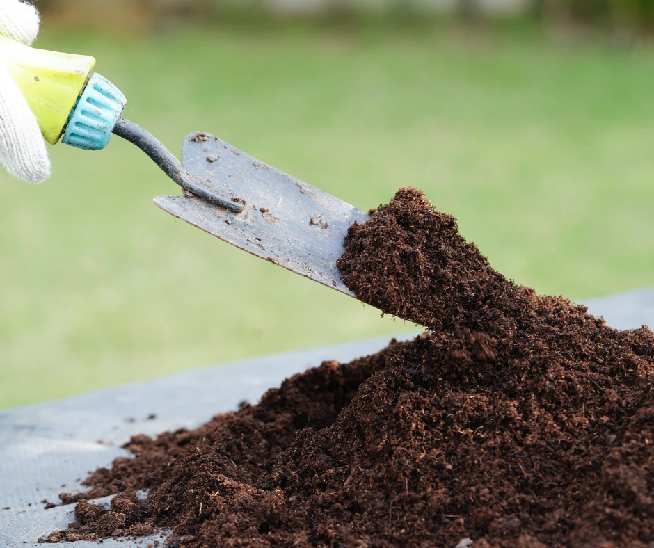 3 Essential Steps for Soil Preparation - Garden Tree Nursery - Buy Tree ...